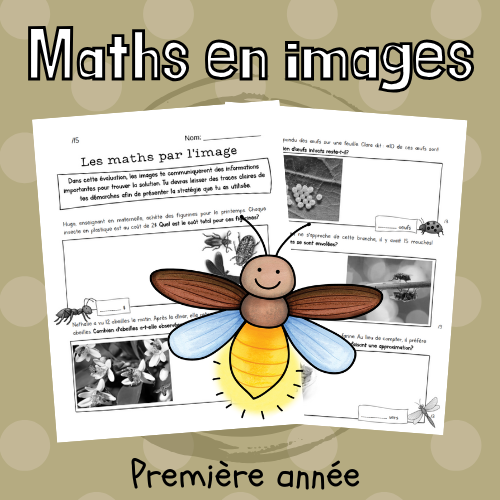 Évaluation - Maths par l'image - Les insectes (1re) – Créations Carotine