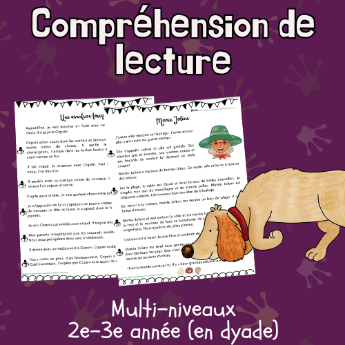 Compréhension de lecture (Multi-niveaux 2e-3e) – Créations Carotine